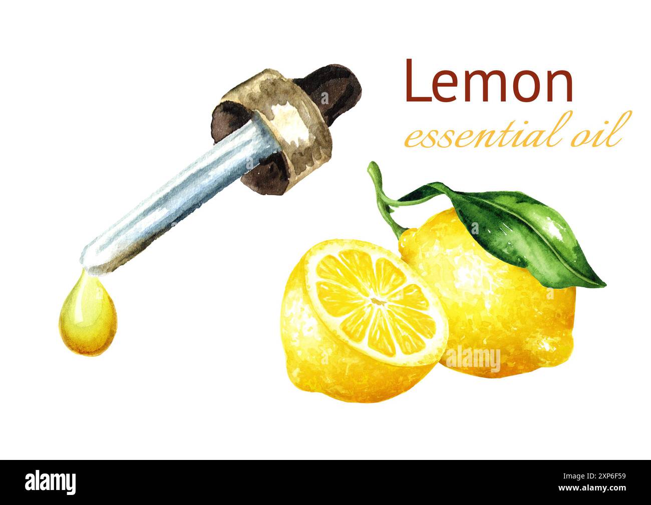 Lemon essential oil drop. Hand drawn watercolor illustration, isolated ...