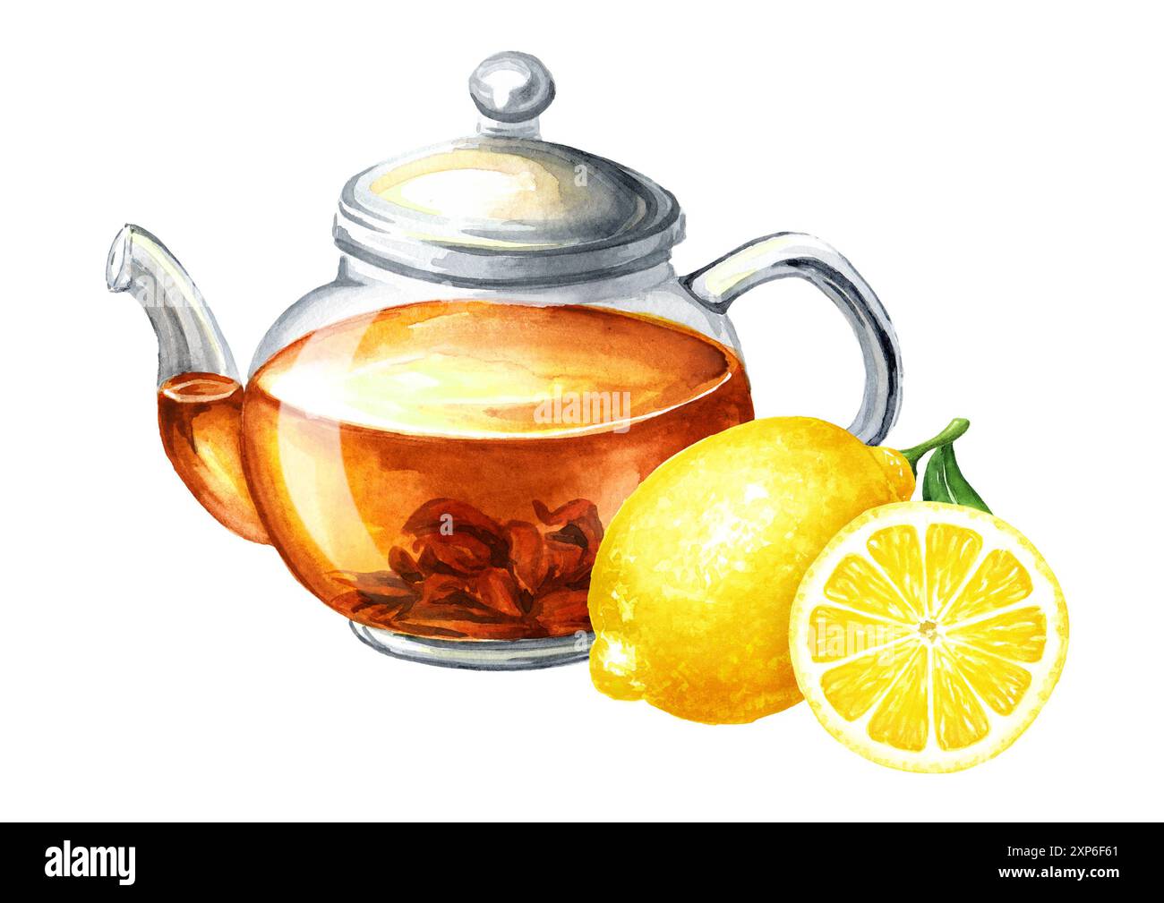 Lemon tea. Teapot and fresh lemon fruit. Hand drawn watercolor ...