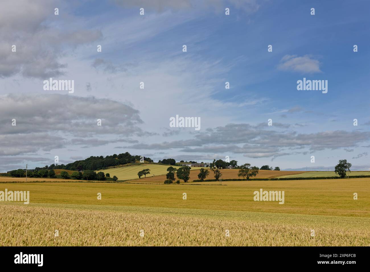 The view from Ardestie Earth House across the undulating fields of ...