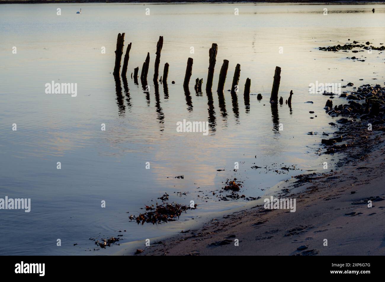 poles in still water Stock Photo - Alamy