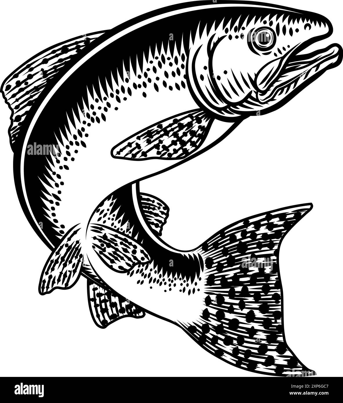 Salmon trout fish Black and White Stock Photos & Images - Alamy