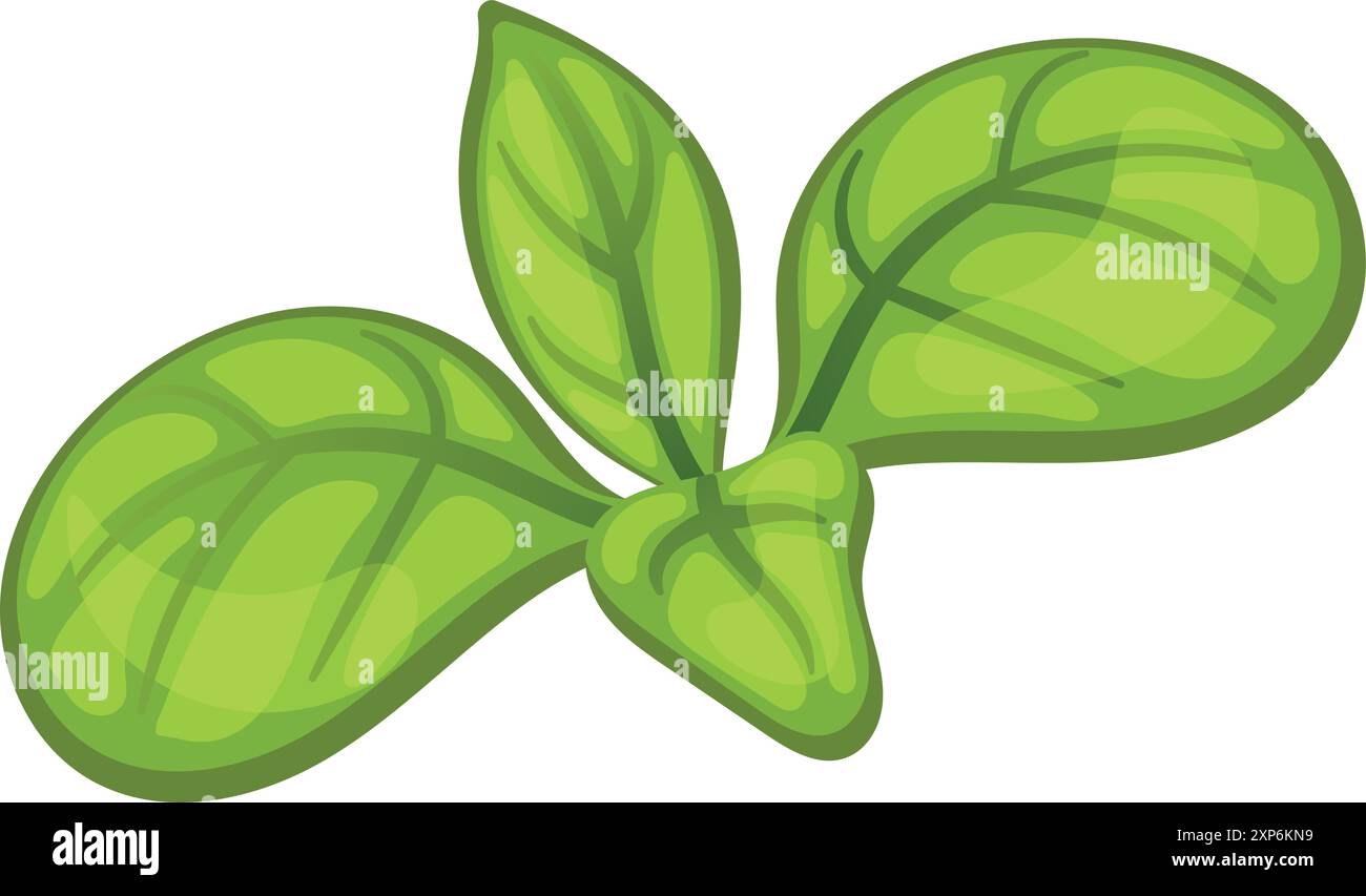Green herb leaves cartoon icon. Aroma plant Stock Vector Image & Art ...