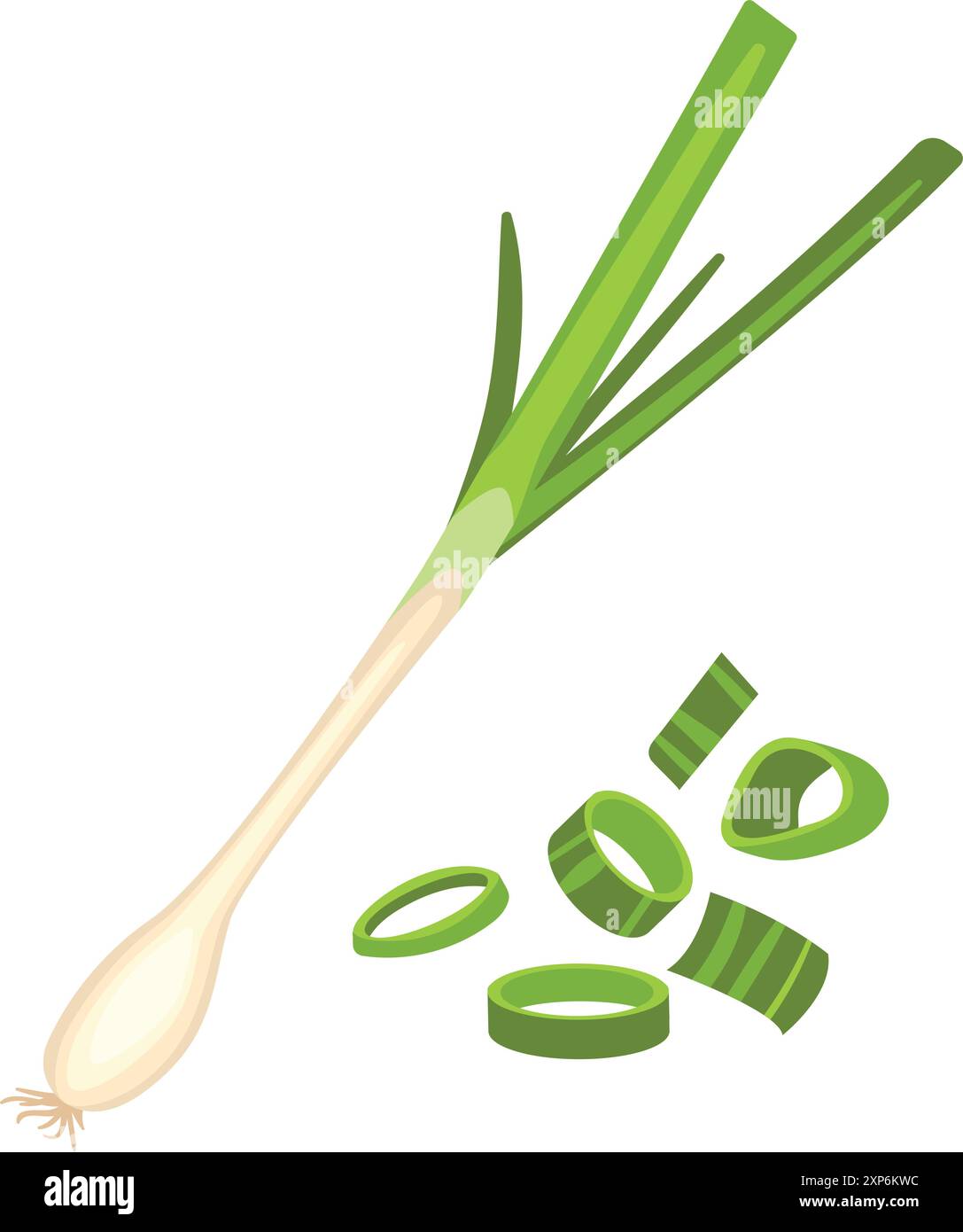 Green onion icon. Whole and cutted fresh vegetable Stock Vector Image ...