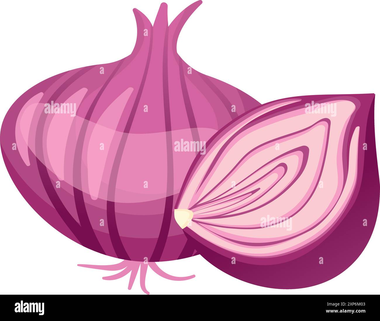 Ring red onion isolated Stock Vector Images - Alamy