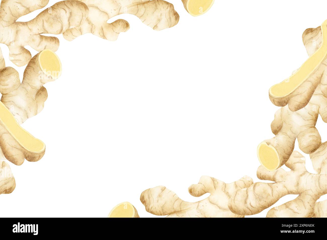 Corner frame with ginger roots watercolor illustration in pastel beige ...