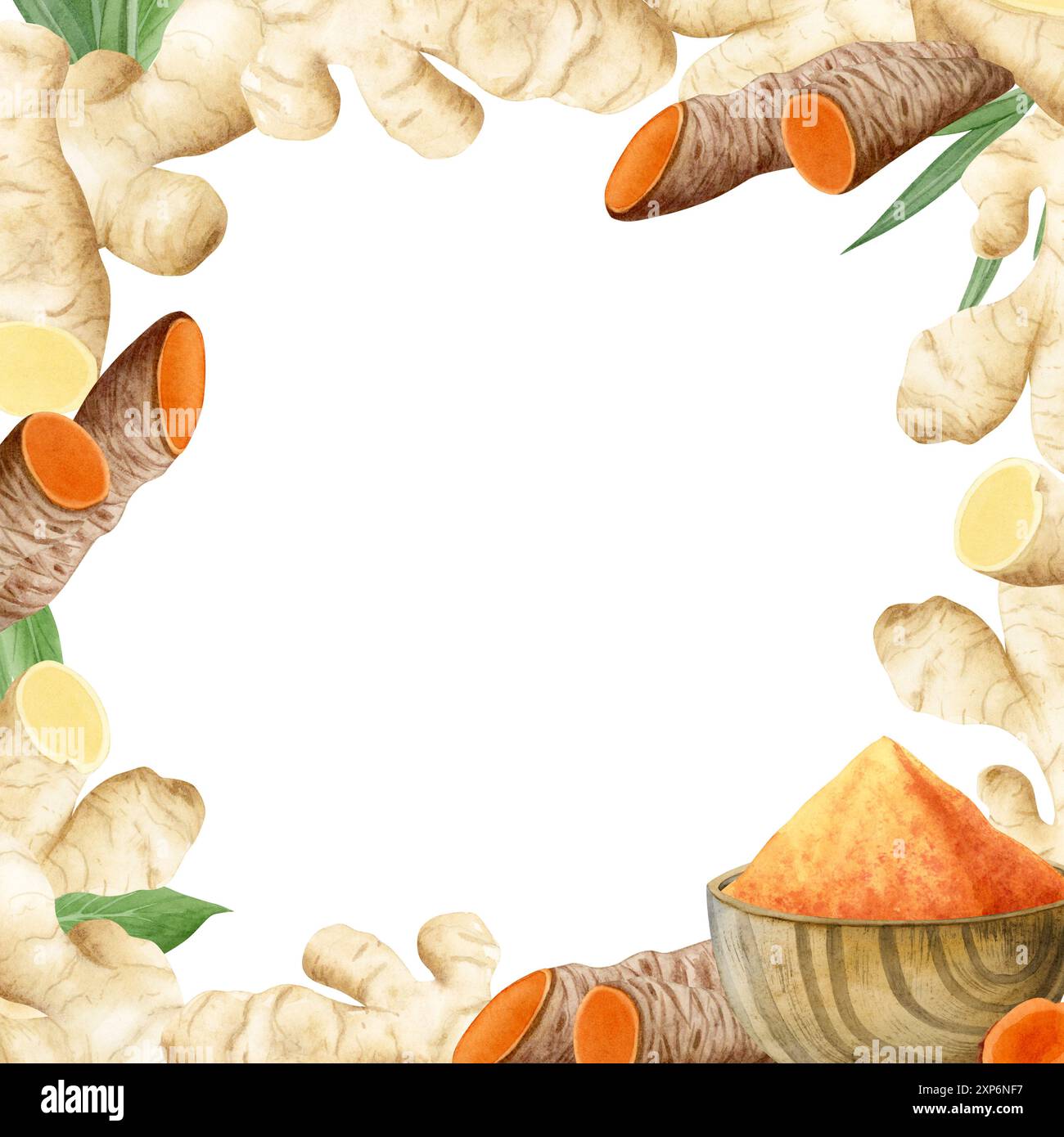 Ground turmeric and ginger roots square frame template illustration for ...