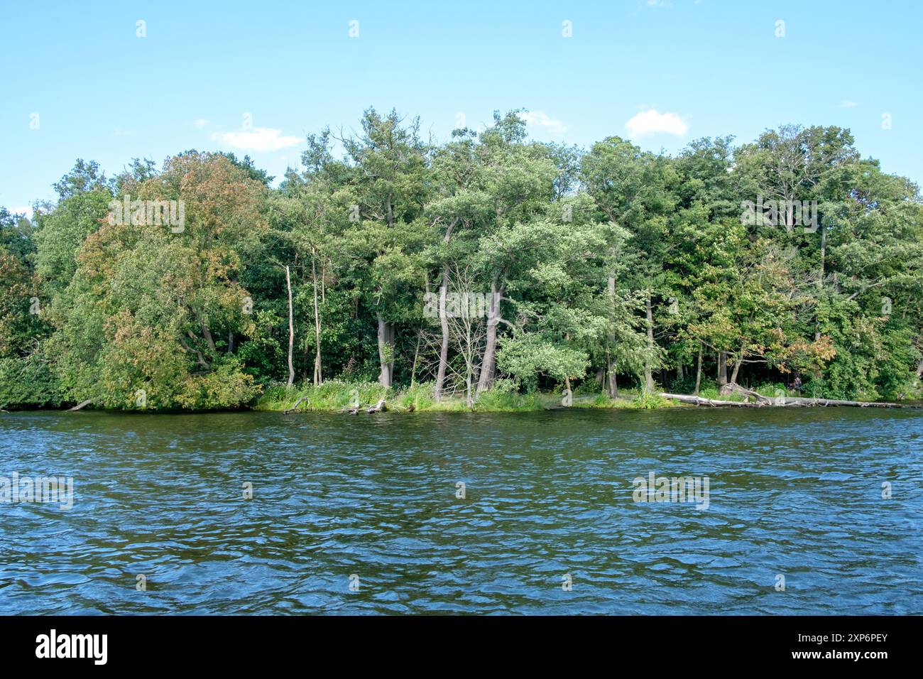 Verdant treeline hi-res stock photography and images - Alamy