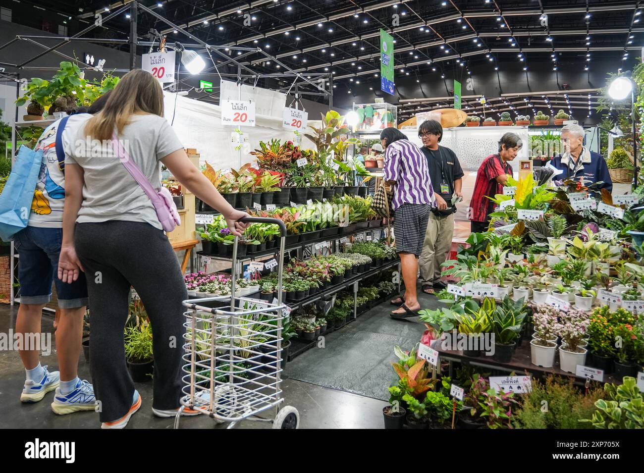 Plants booth hi-res stock photography and images - Alamy