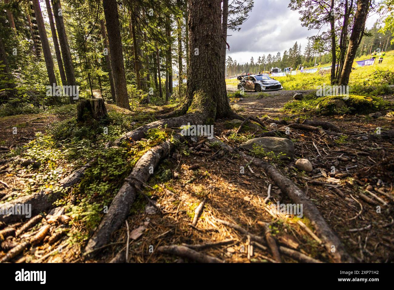 05 PAJARI Sami, MALKONEN Enni, Toyota GR Yaris Rally1, action during ...