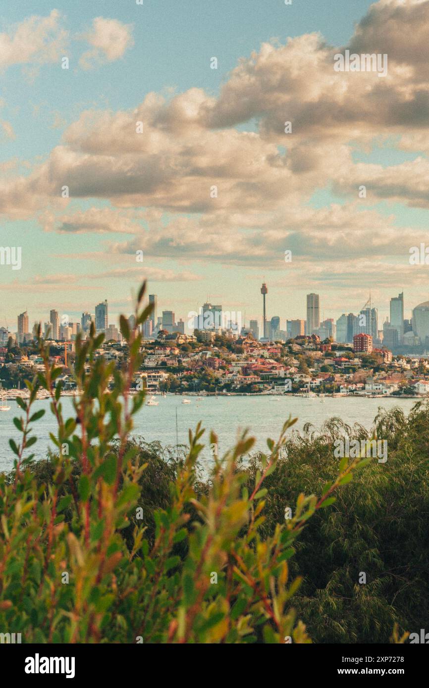 Painted sydney harbour hi-res stock photography and images - Alamy
