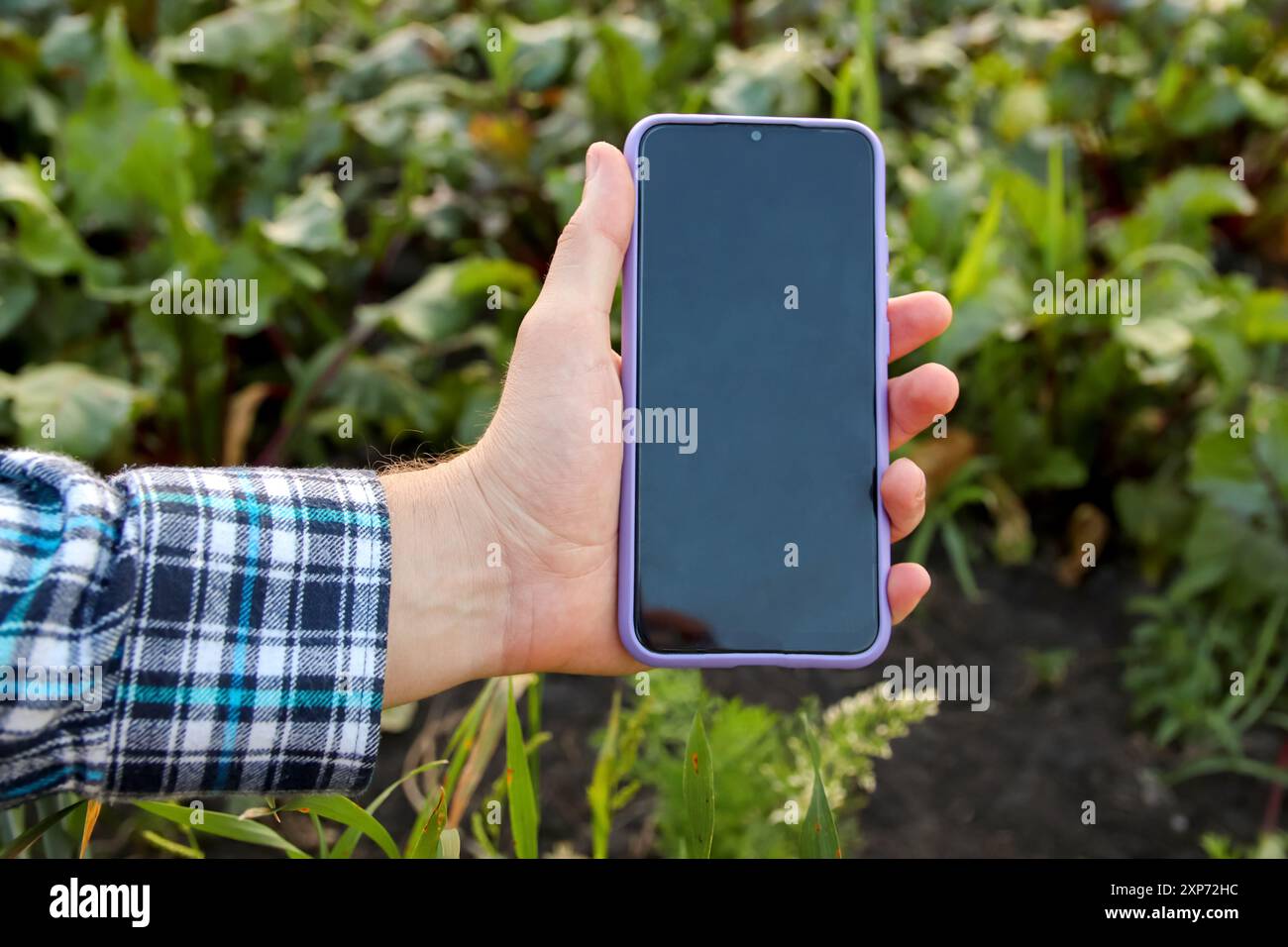 Phone mock-up outside, held by a farmer in a cornfield. The phone ...