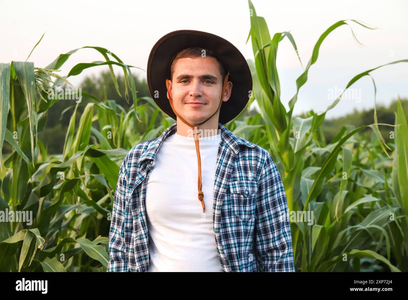 Farmer walking along cornfield hi-res stock photography and images - Alamy