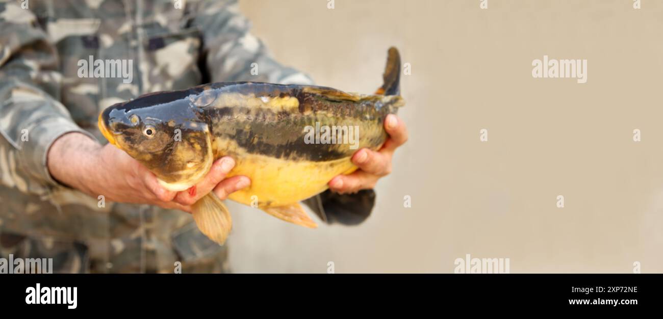 A man holding a large carp fish with both hands, showcasing a ...