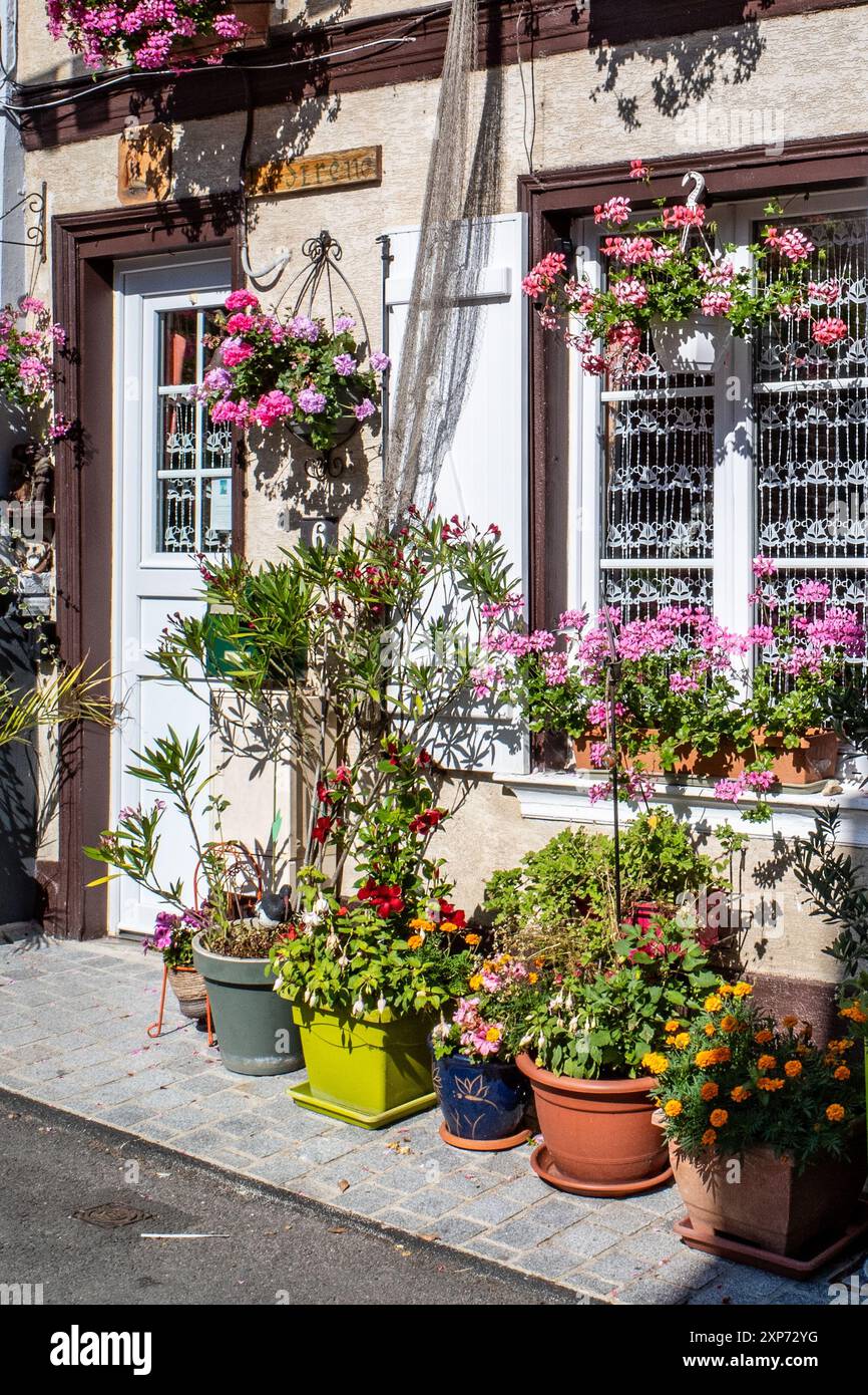 Picturesque cottages with vibrant flower displays outside in Saint ...