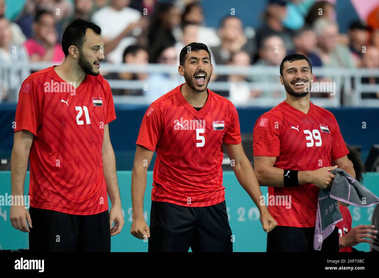 Members of Egypt's team react on the bench during the men's handball ...