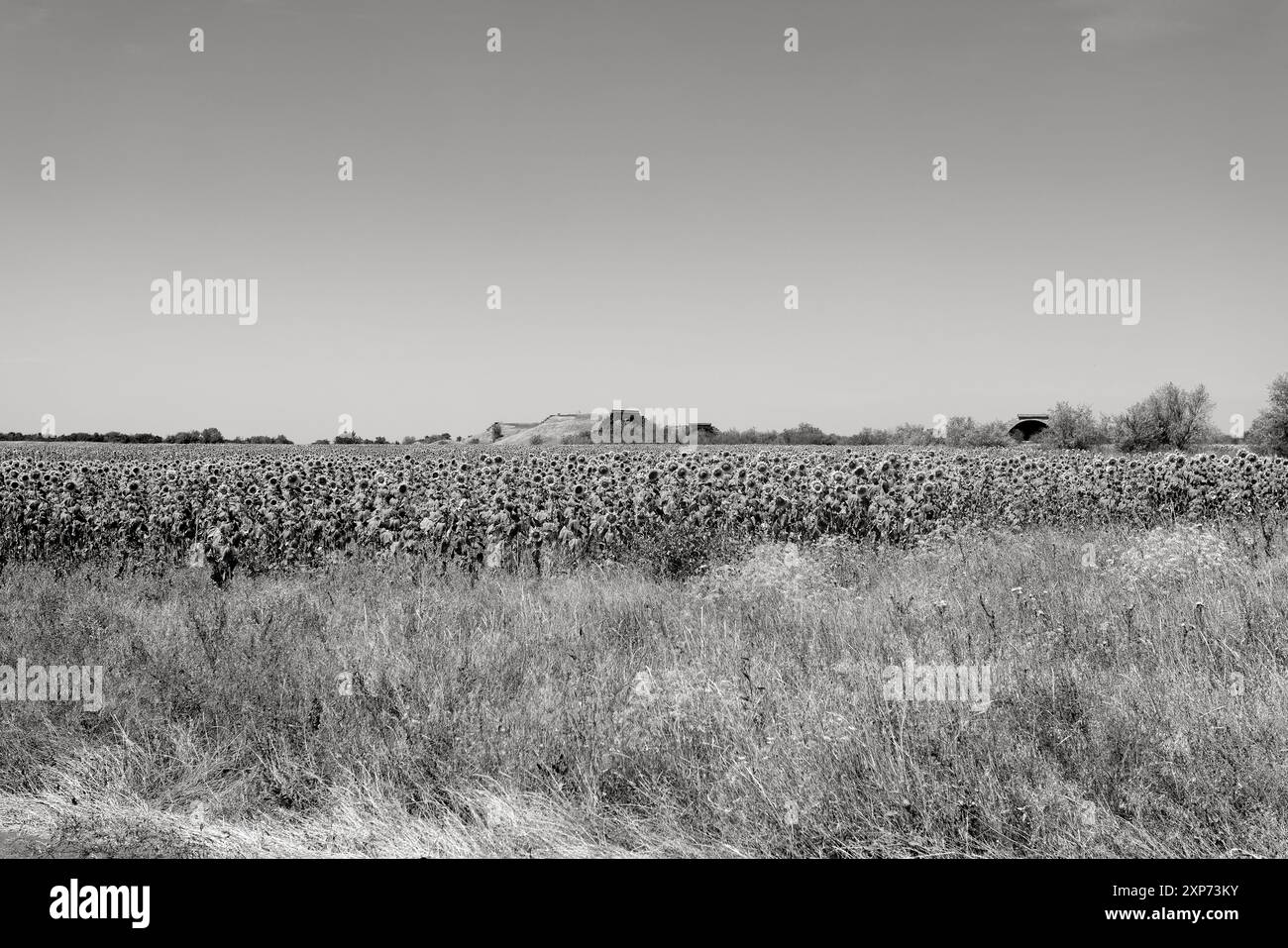 Hangar Empty aircraft hangar. Abandoned bunker. Lost airfield. Entrance ...