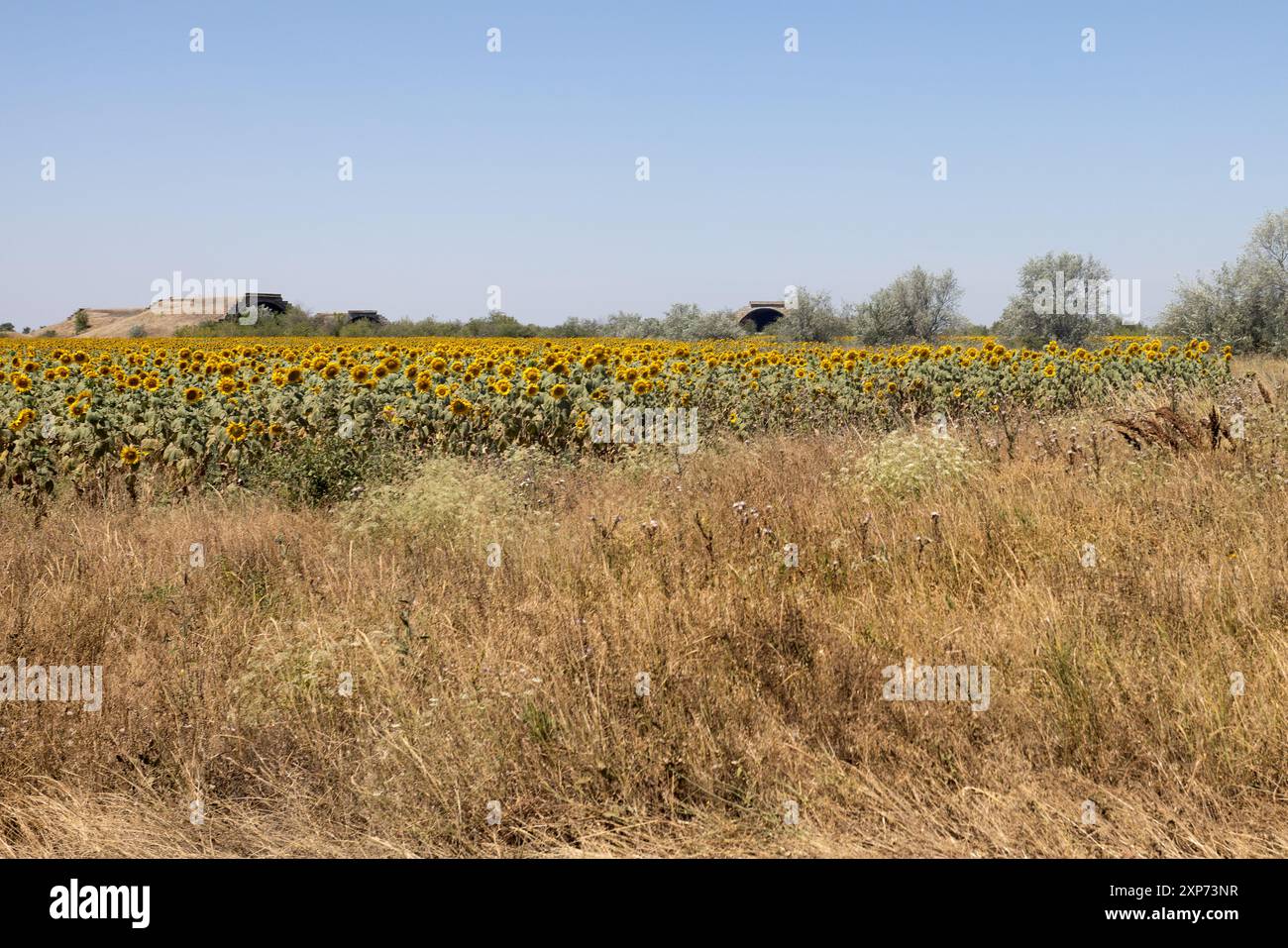 Hangar Empty aircraft hangar. Abandoned bunker. Lost airfield. Entrance ...