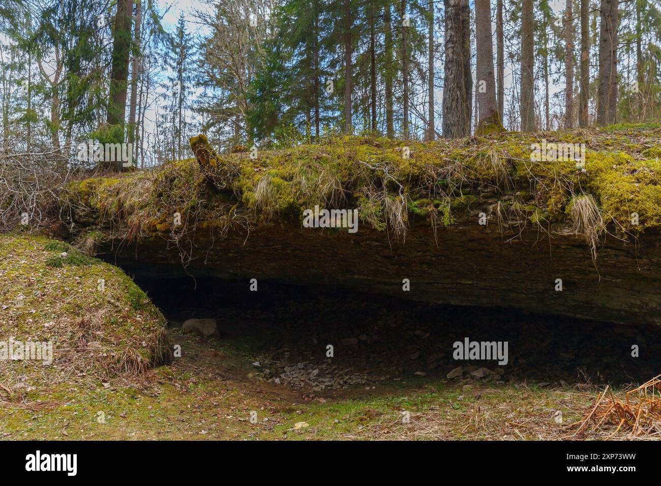 Old karst collapses in the woods, former river bed. Estonia Stock Photo ...