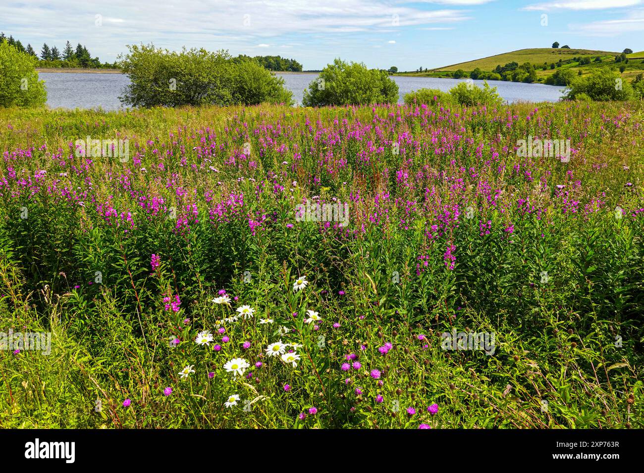 Redmires Reservoirs near Sheffield, South Yorkshire, City, England, UK ...