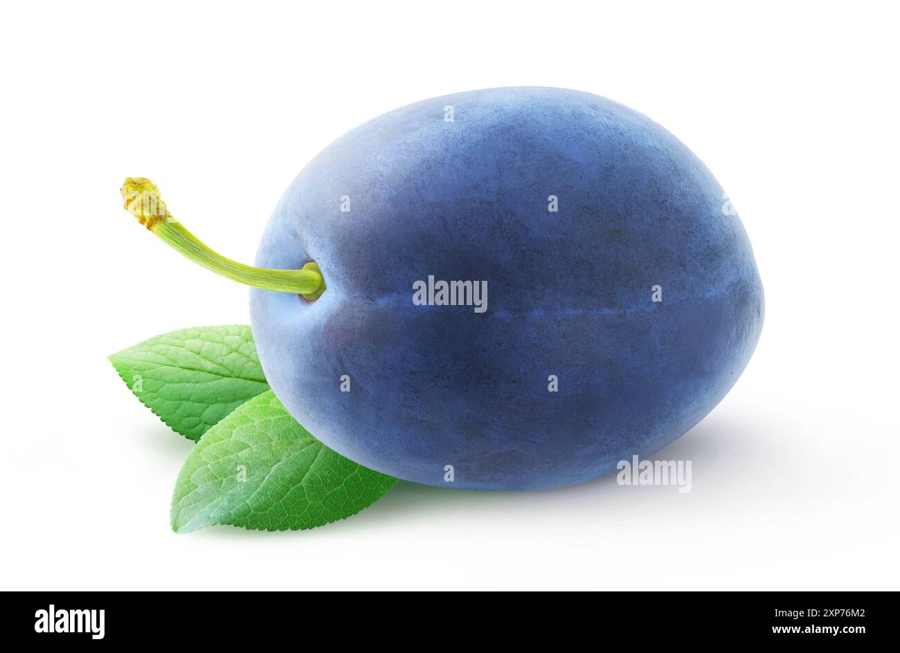 One blue plum over leaves isolated on white background Stock Photo - Alamy