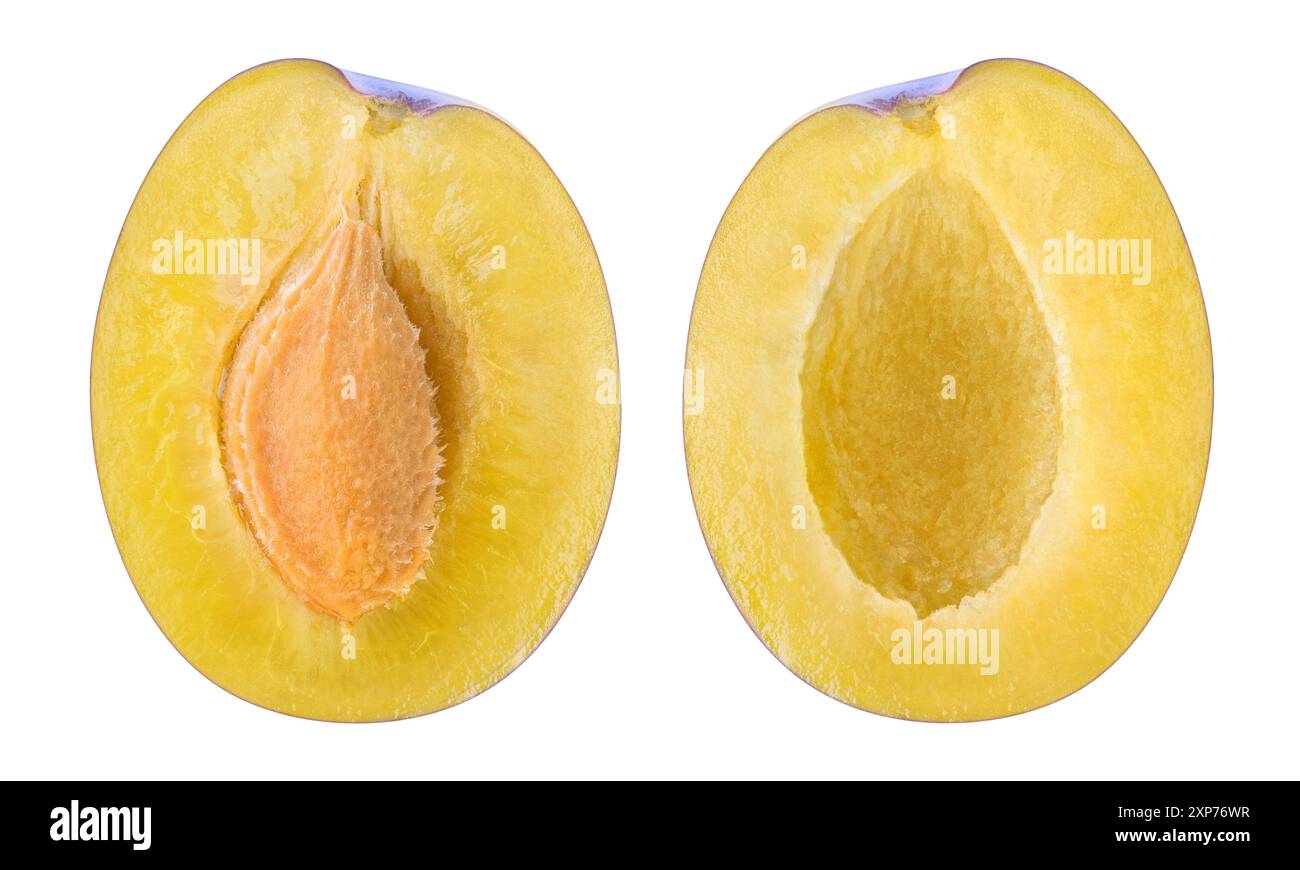 Two halves on a plum fruit with and without kernel isolated on white ...
