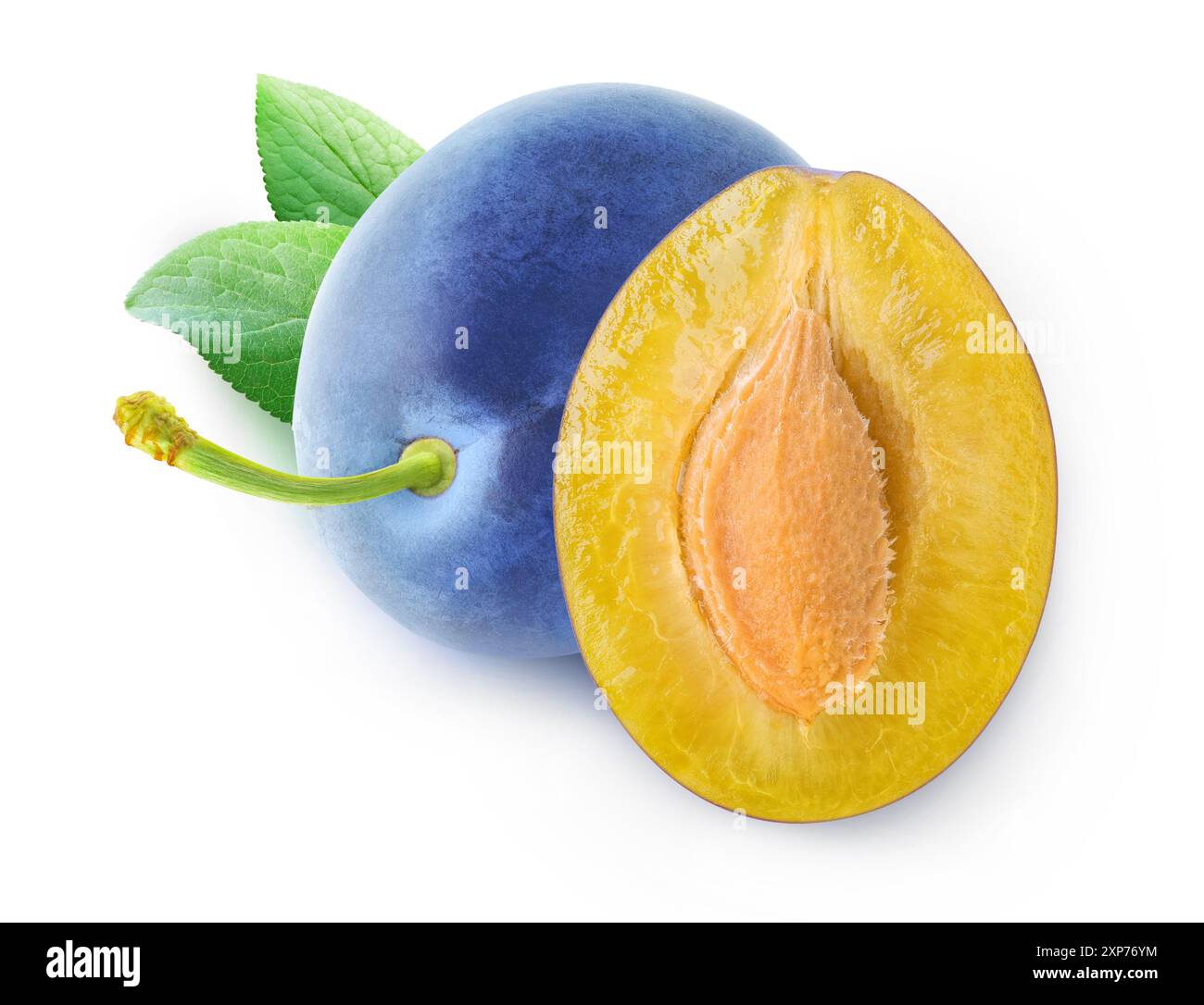 One and a half blue plum fruits isolated on white background Stock ...