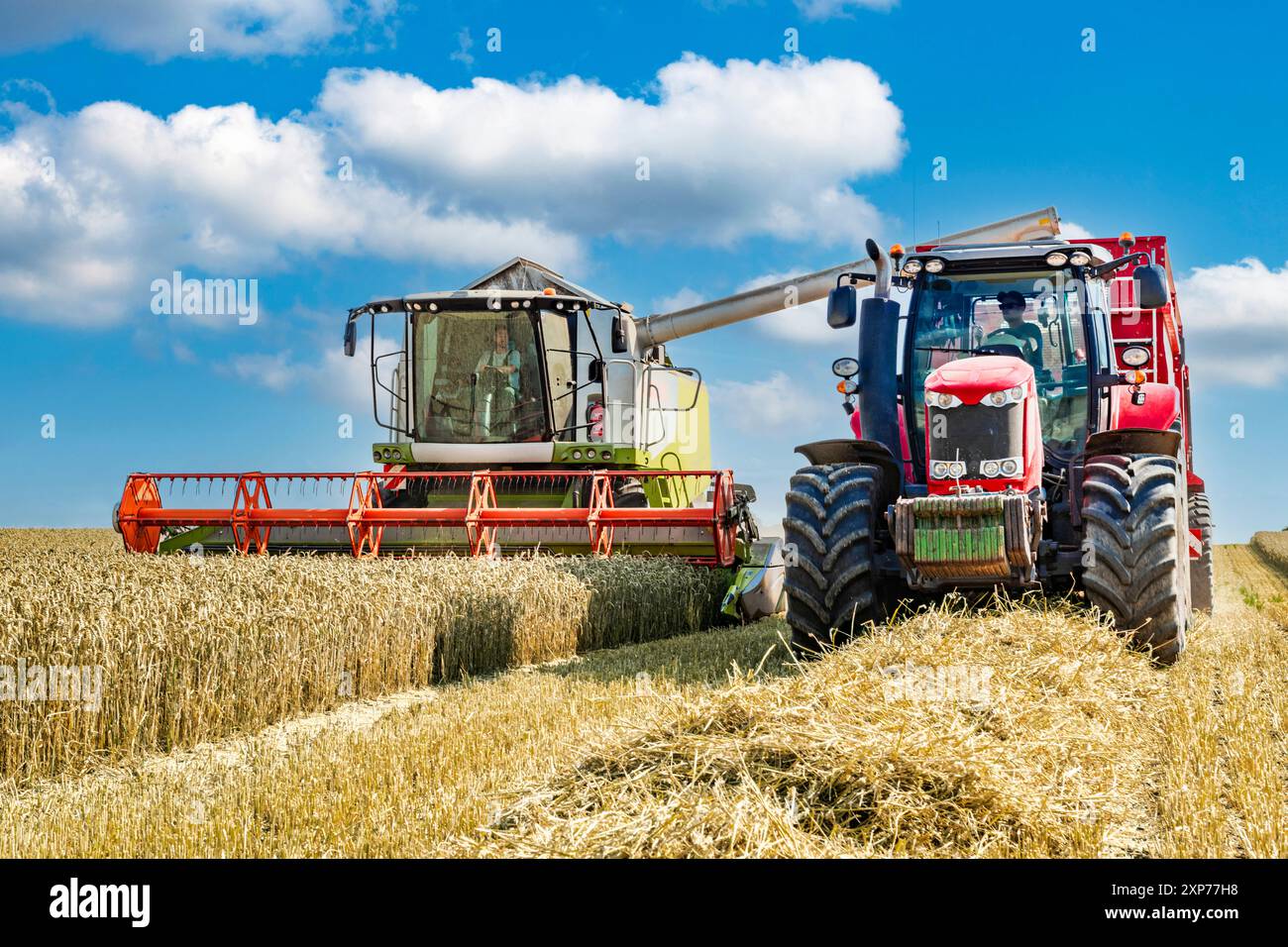 Combine harvester and tractor with loader wagon in the grain field ...