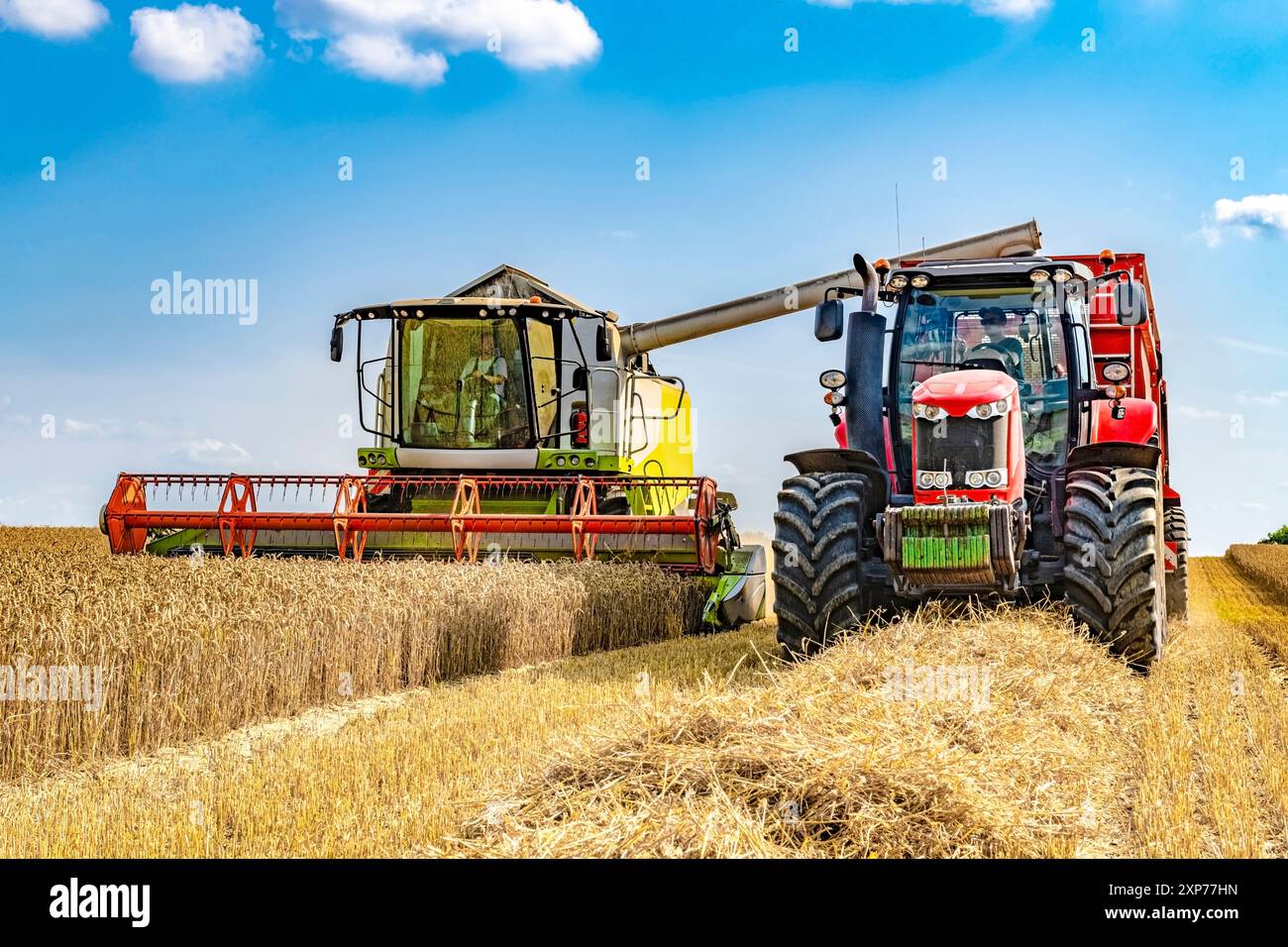 Combine harvester and tractor with loader wagon on the grain field ...
