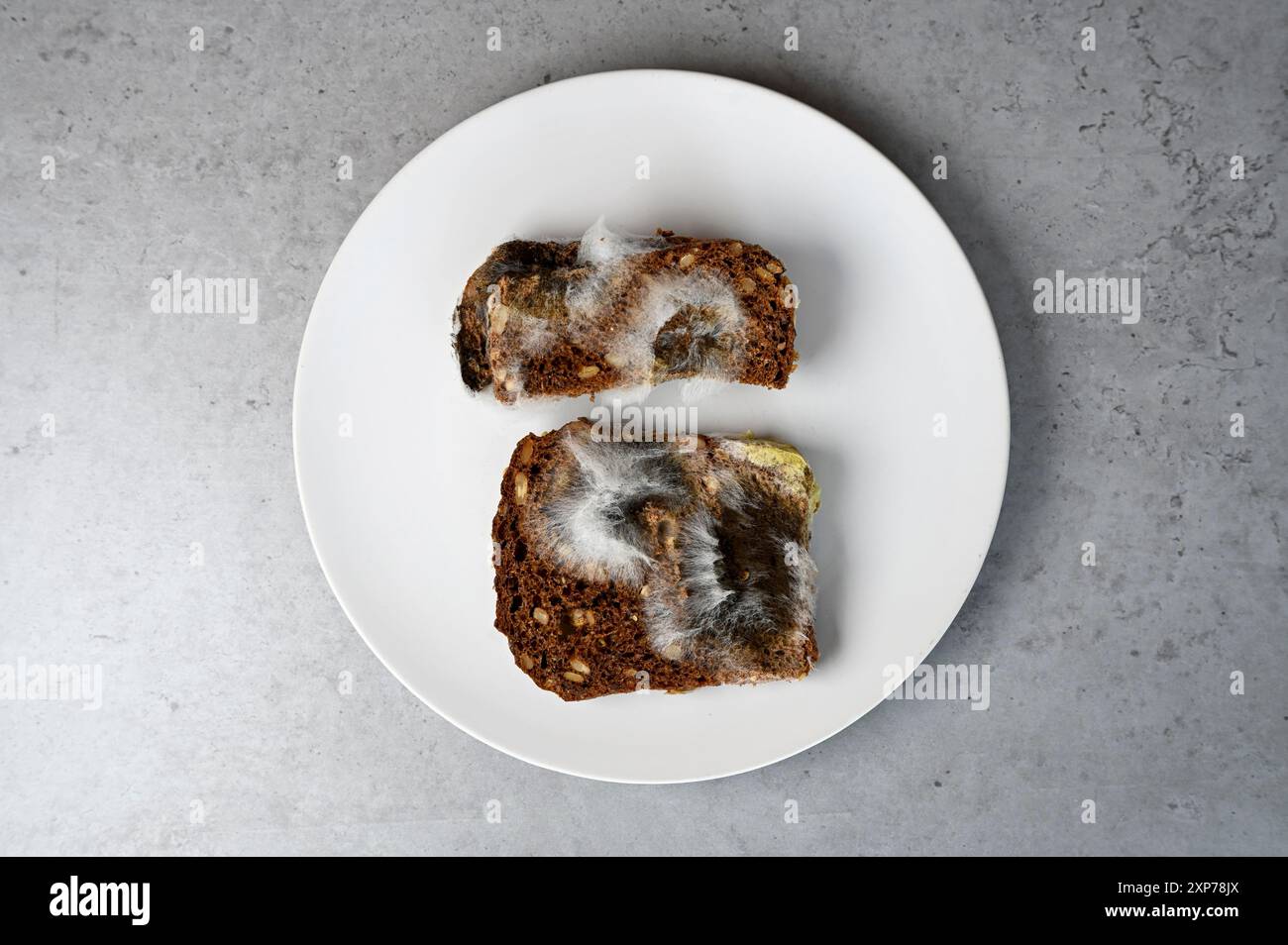 Mold on old expired bread Stock Photo - Alamy