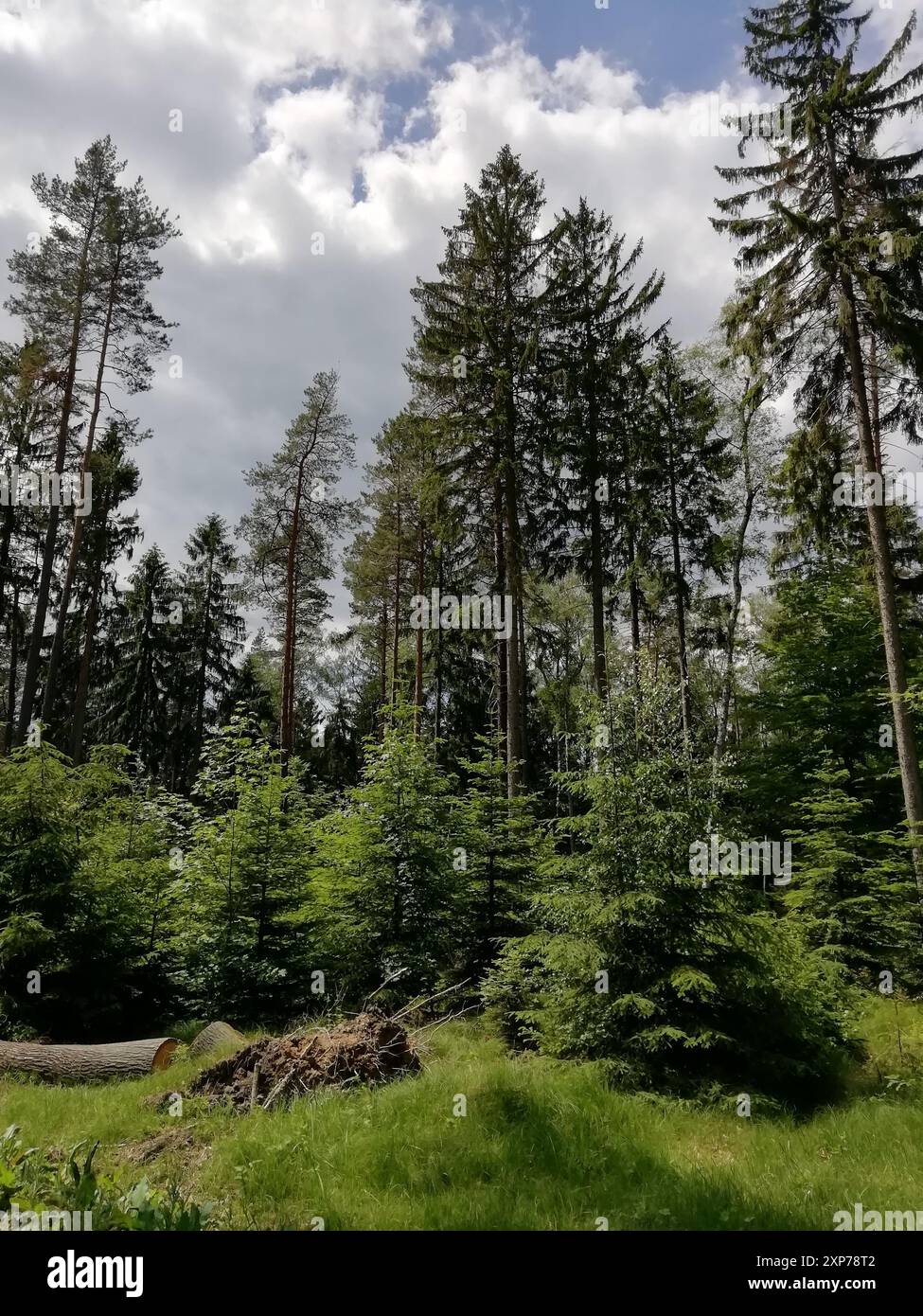 Wandern wald hi-res stock photography and images - Alamy