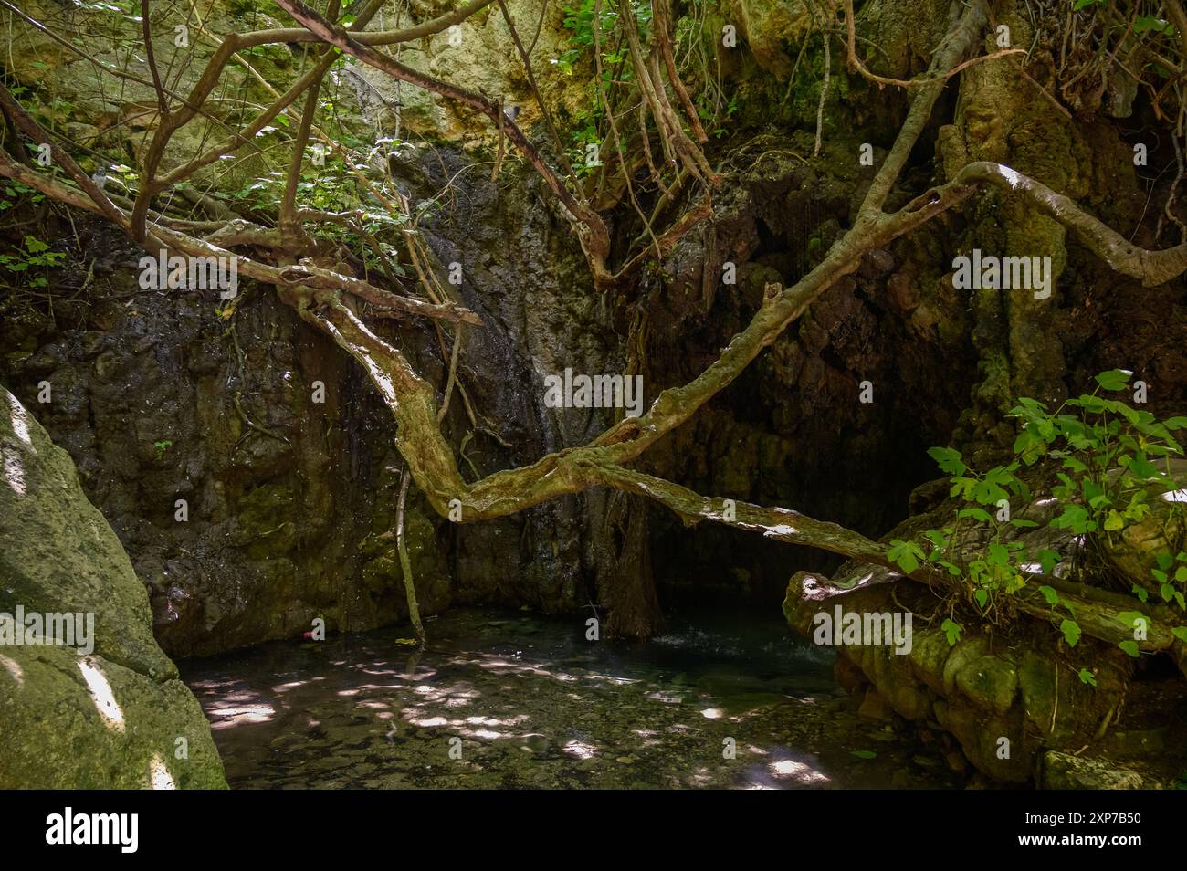 Waterfall in natural cave. Bath of Aphrodite. Cyprus Stock Photo - Alamy