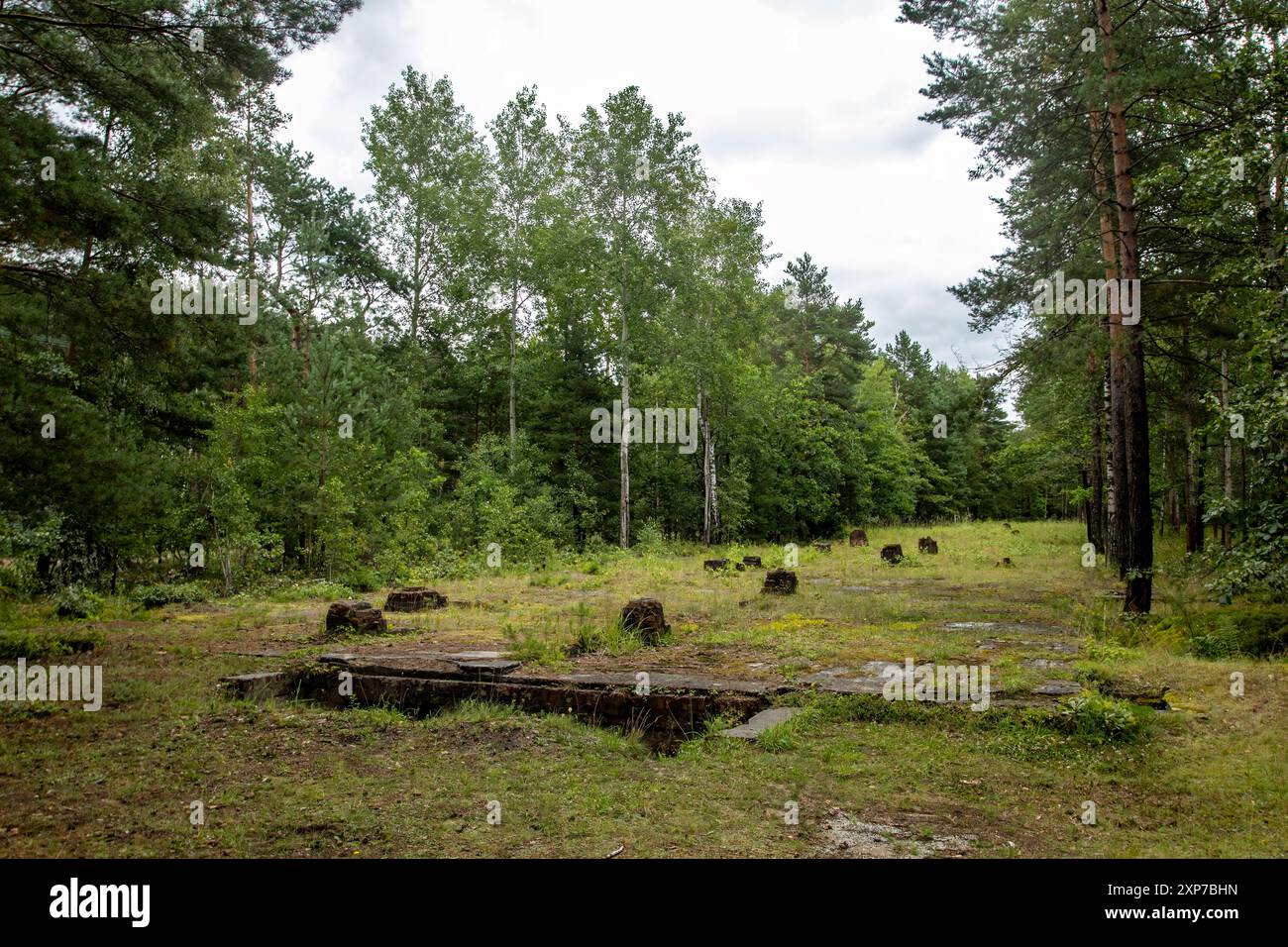 The remains of prisoner barracks at Stalag Luft III POW camp from WWII ...