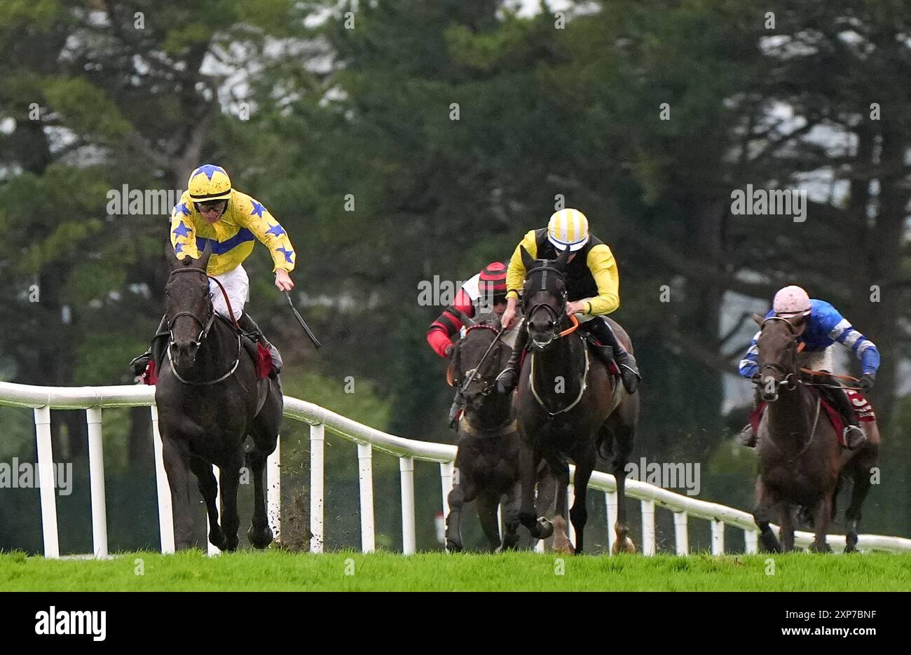 Flicker Of Hope ridden by jockey Jack Kennedy (blue/yellow silks) on ...