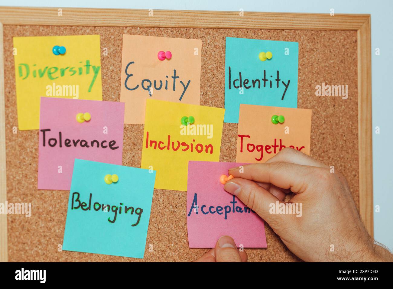 A colorful set of DEI sticky notes attached to a board. Support ...