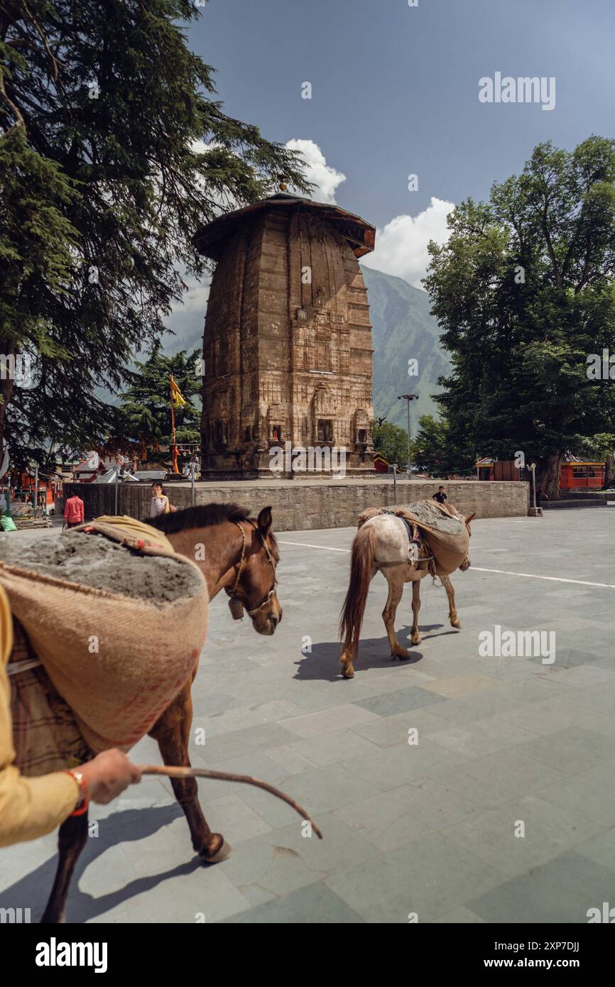 July25th2024, Himachal Pradesh, India. haurasi Temple complex with ...