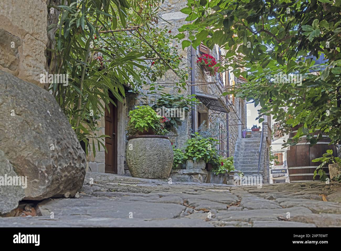 An old, rustic village street with multiple stone steps as a pathway in ...