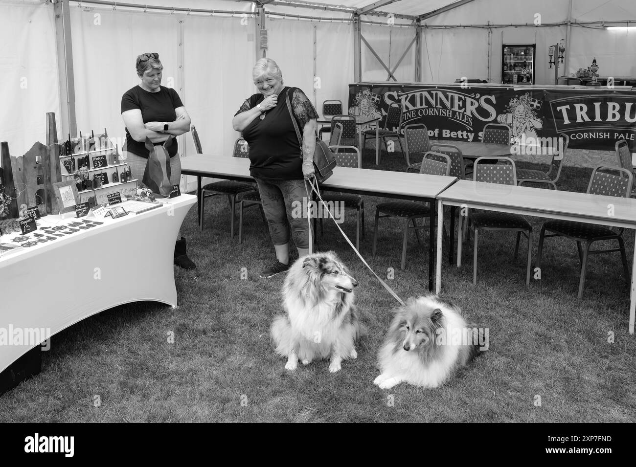 Sticker Classic Car Rally Tractors Cars Car Boot Stock Photo - Alamy