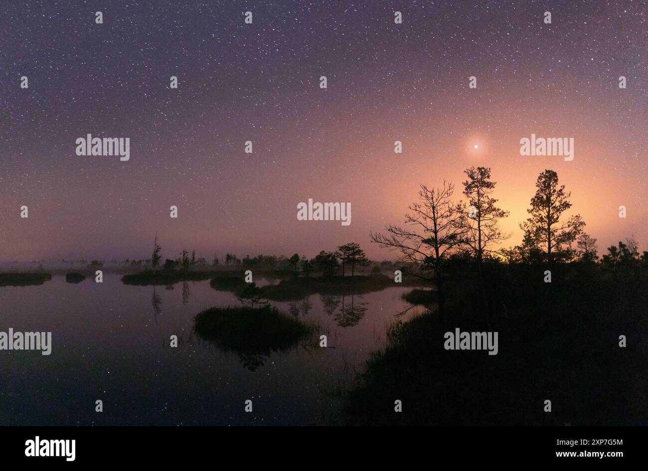 Dramatic Twilight Sky With Rising Planet Venus Over Swamp Landscape ...