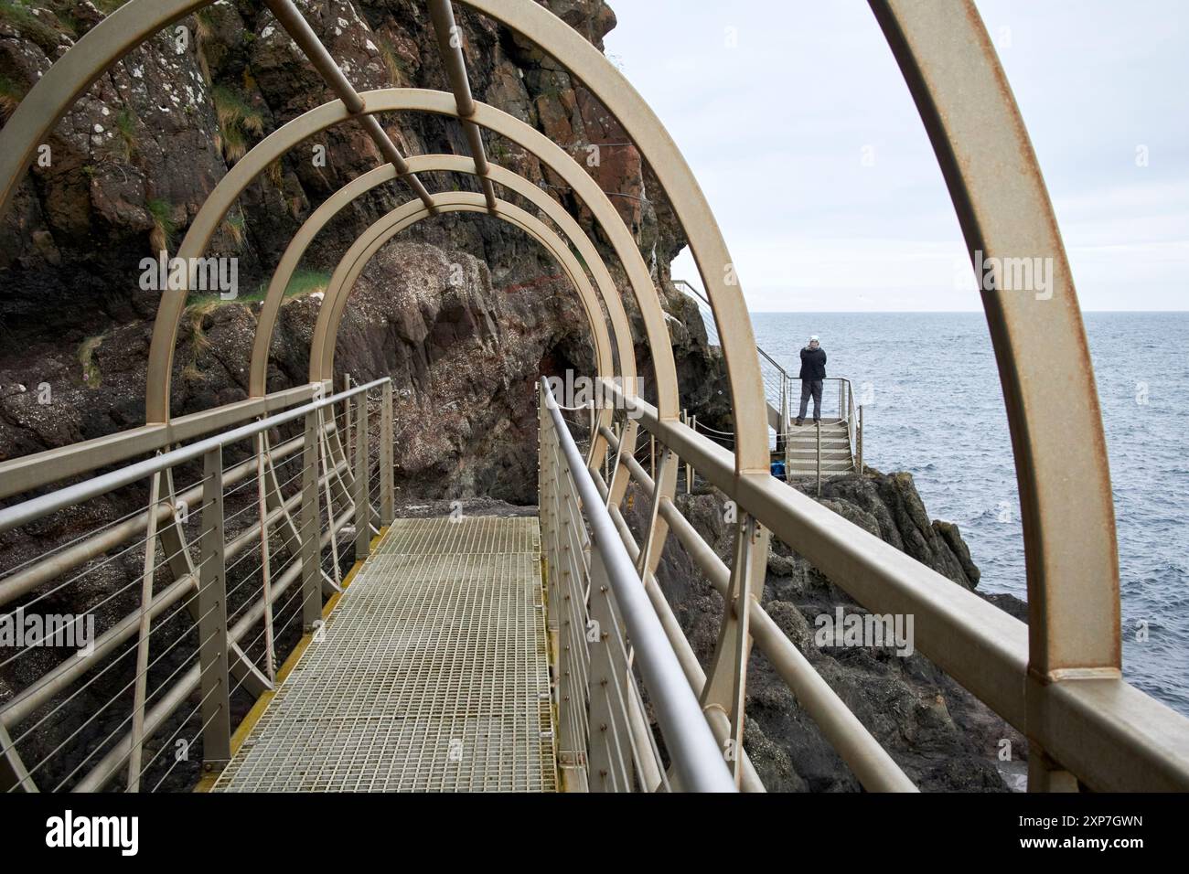 tubular bridge on the gobbins coastal walk county antrim, northern ...