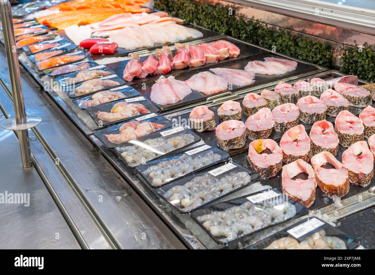Fresh seafood display with various fish fillets, steaks and shrimp in ...
