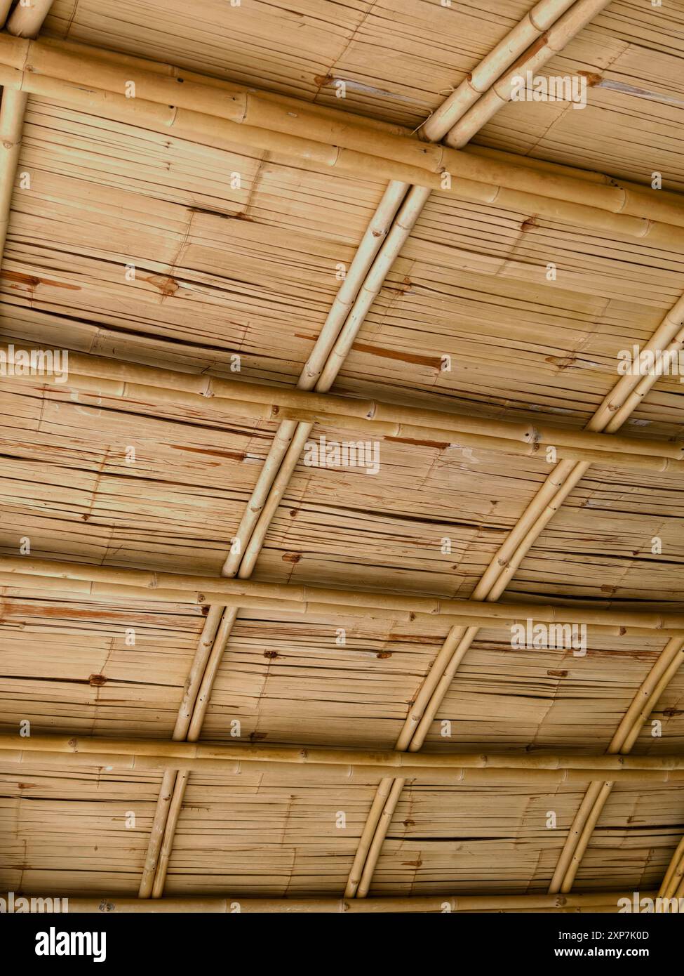 A detailed view of a wooden bamboo ceiling with perforations Stock ...