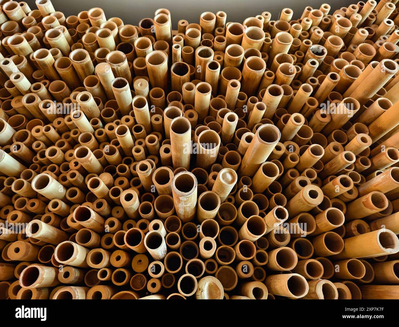 Arranged in columns hi-res stock photography and images - Alamy