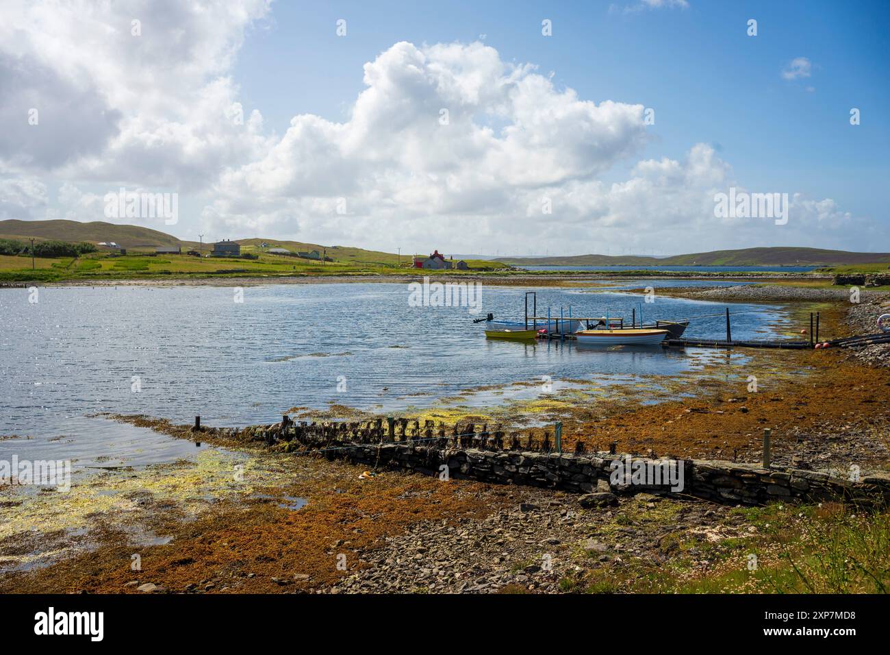 Whalsay is the sixth largest of the Shetland Islands in the north of ...
