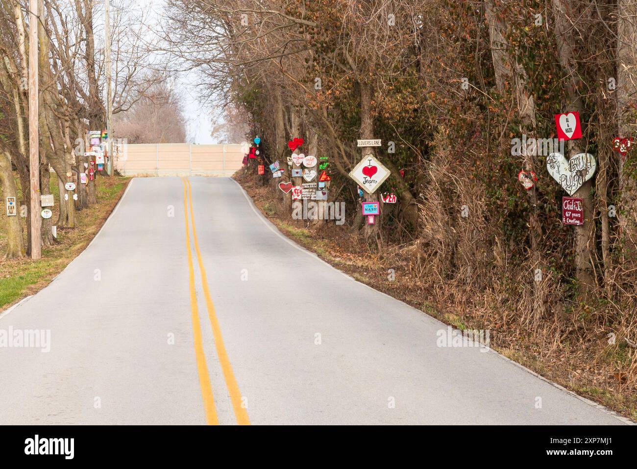 Section of roadway through treed area with signs proclaiming love ...