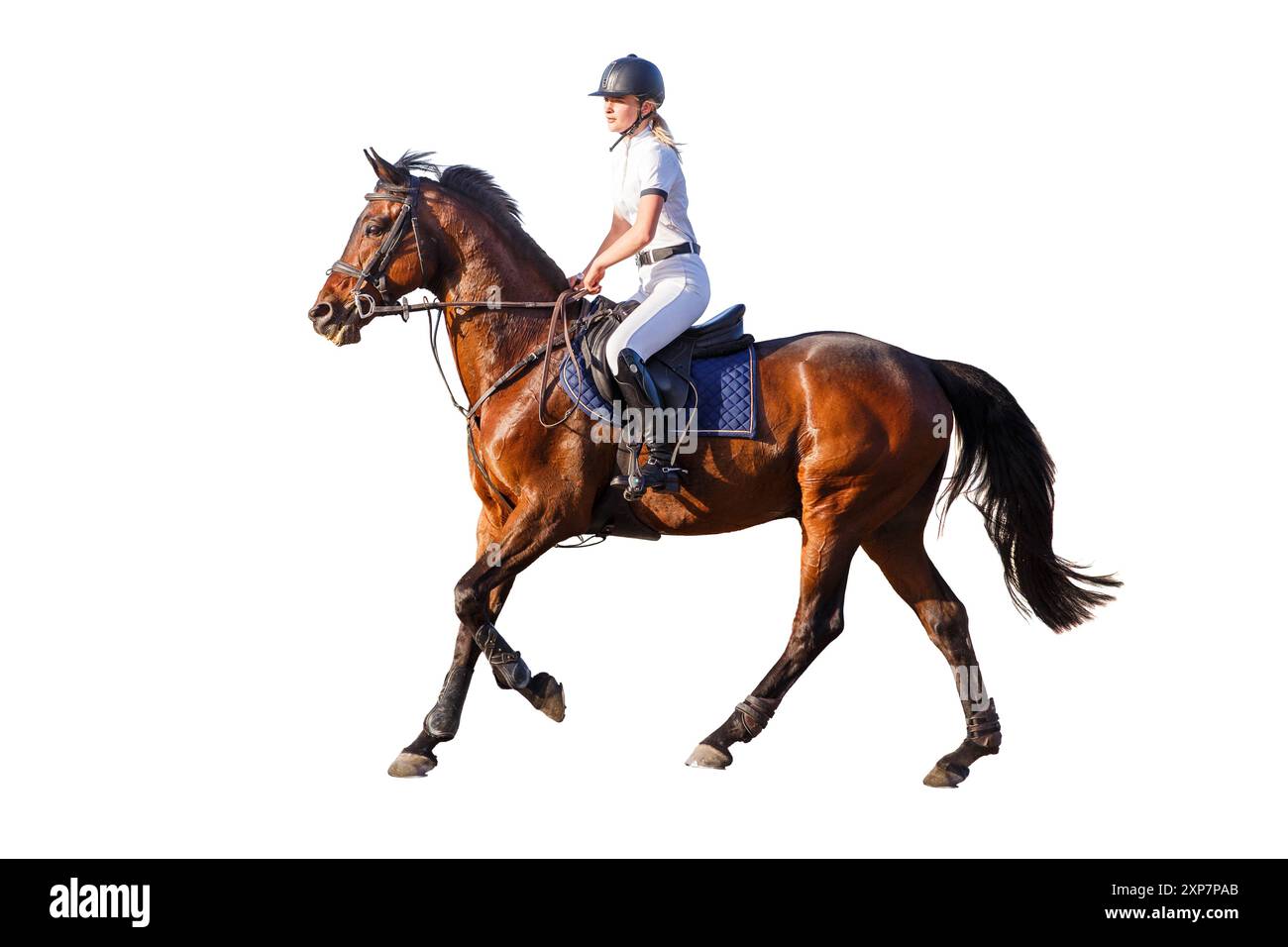 A skilled equestrian in a white outfit rides a majestic brown horse ...