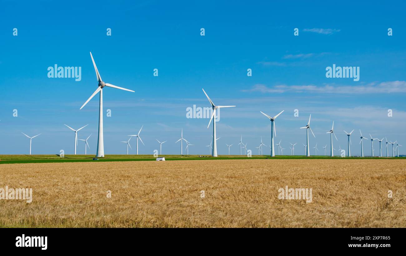 Tall wind turbines tower above golden fields, harnessing the power of ...