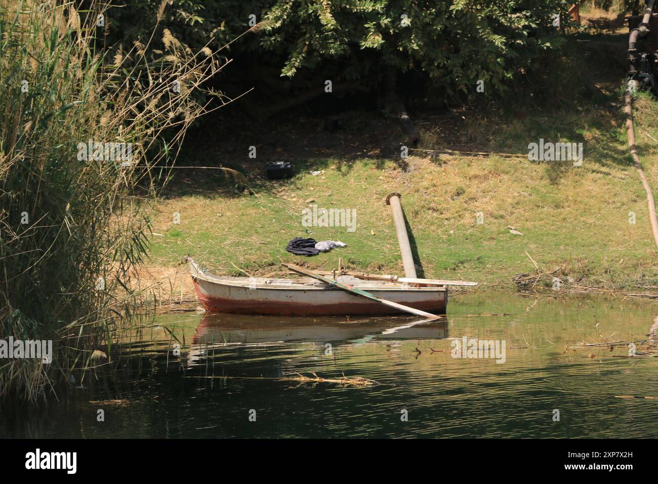 Boat in the water / nature / River Stock Photo - Alamy