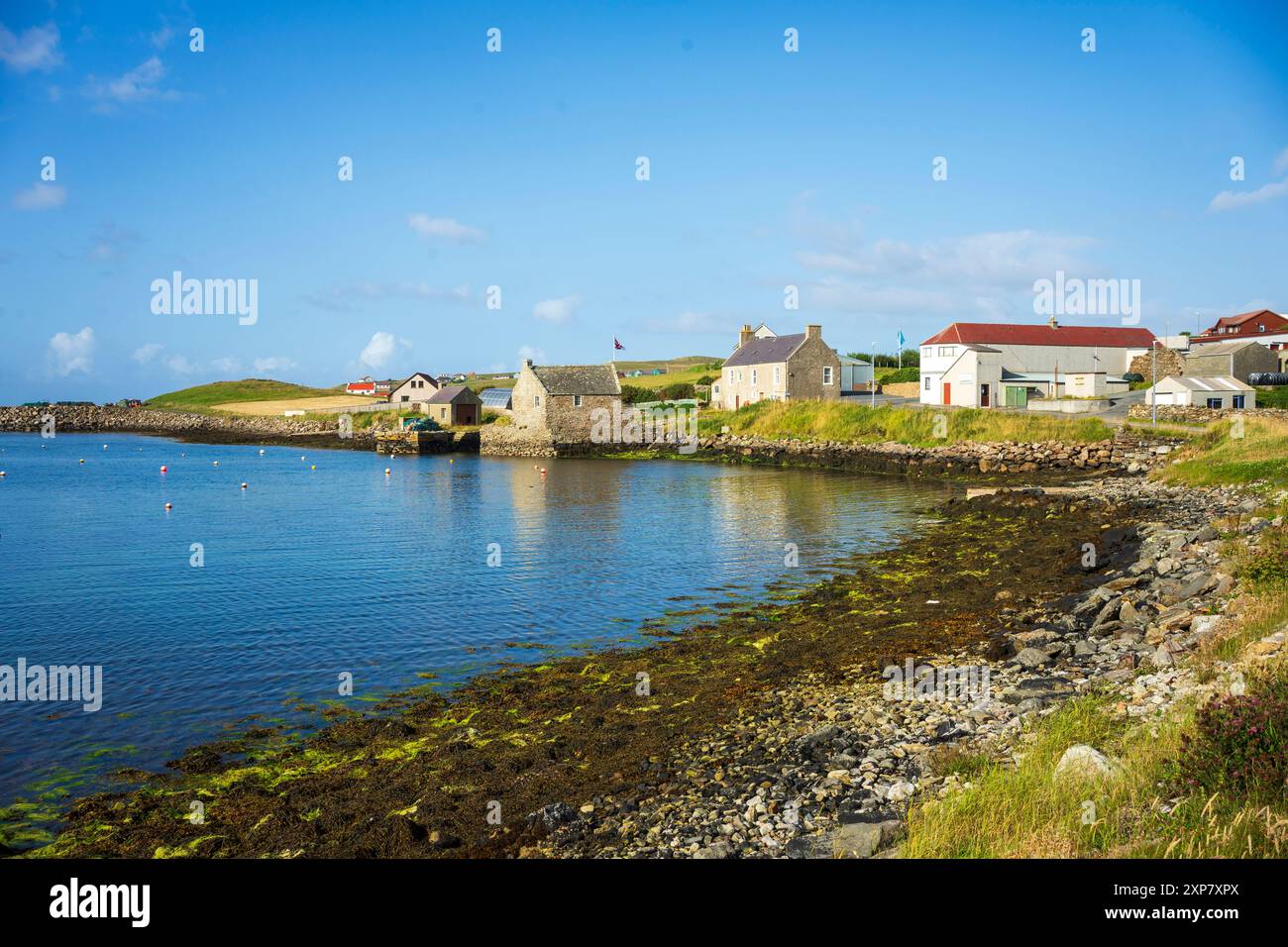 Whalsay is the sixth largest of the Shetland Islands in the north of ...