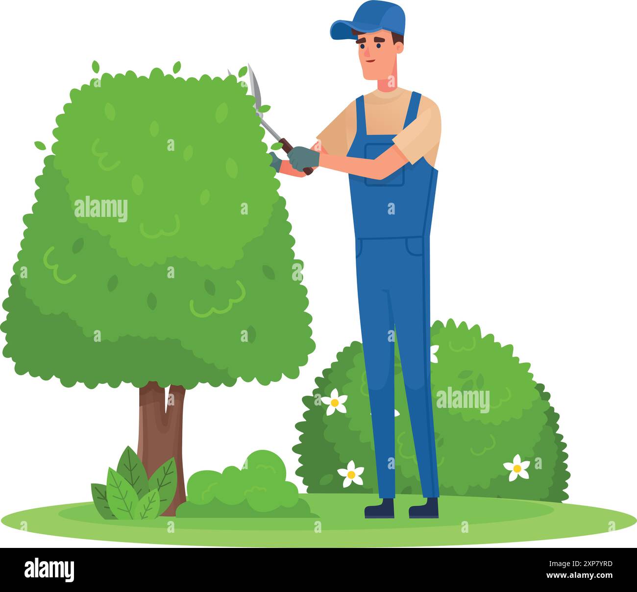 Tree prune Stock Vector Images - Alamy