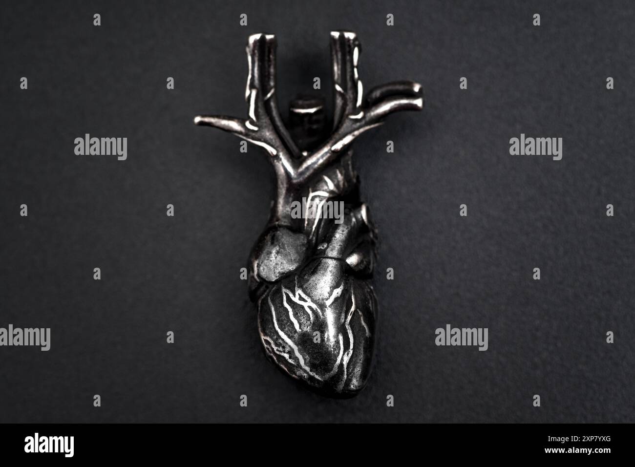 Highlighting model structures hi-res stock photography and images - Alamy